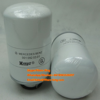 Hengst Fuel Filter 0010920301,filter Suppliers And Manufacturers