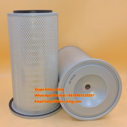 Air Filter AF4838 PA2784 2474-9053 P181191 600-181-6740,filter ...