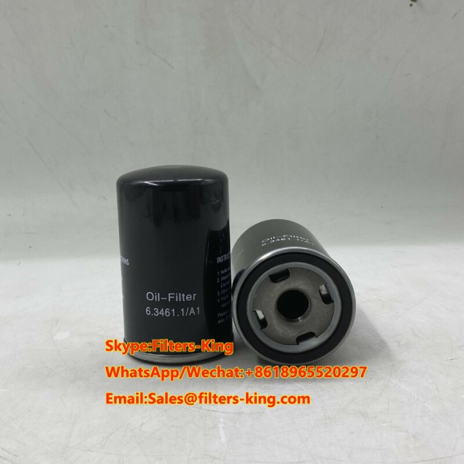 Oil Filter 6.3461.1 6.3461.A1 | Engine Oil Filter Manufacturer And Supplier