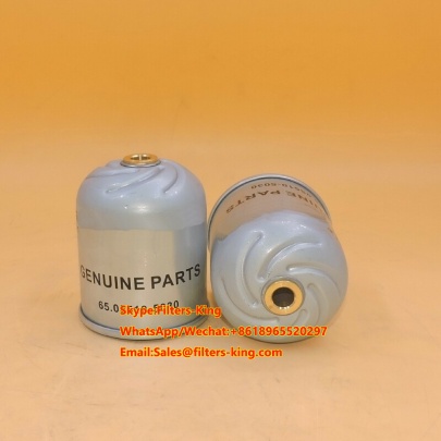 Doosan Oil Filter 65.05510-5030 BC110 P550286 ZR902X 51417 | Engine Oil ...