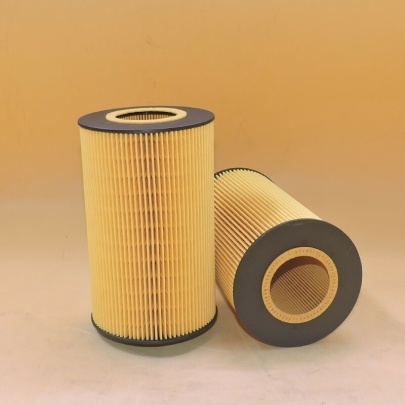 Oil Filter 51.05504-0122 P7329 02931522 P550905 E422HD86 | Engine Oil ...