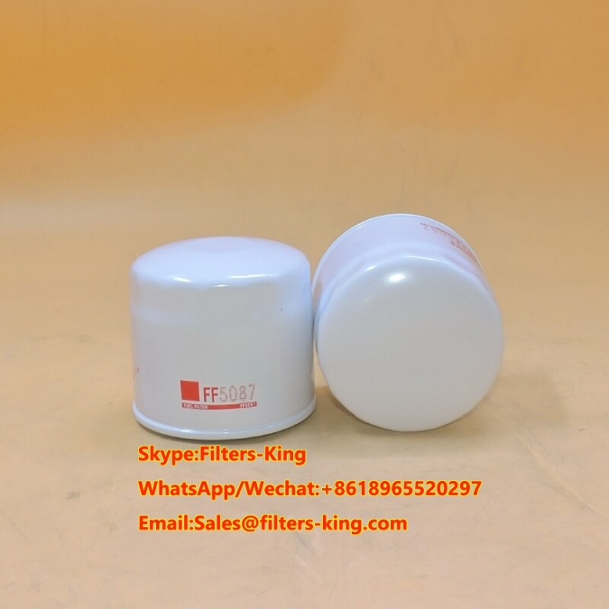 Fleetguard Fuel Filter FF5087 P550048 119000-55600 ME006066,filter ...