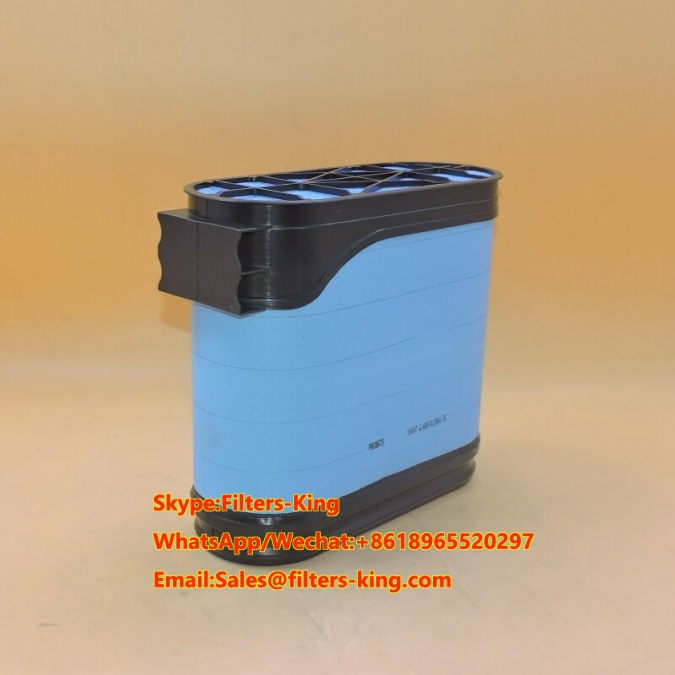 PowerCore Air Filter P608675 CA30079 AF4205 3695441M91 SL82007,filter ...