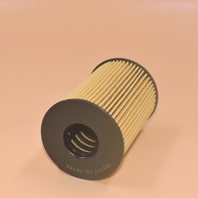 Oil Filter S11007 E359HD306 HU8007Z 11427583220 CH11007 | Engine Oil ...