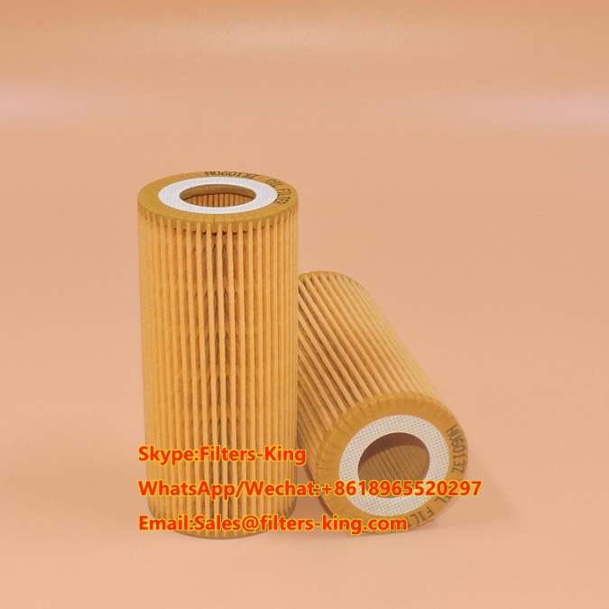 Mann Oil Filter HU6013Z E358H03D246 958.115.466.00 06K115562 | Engine ...