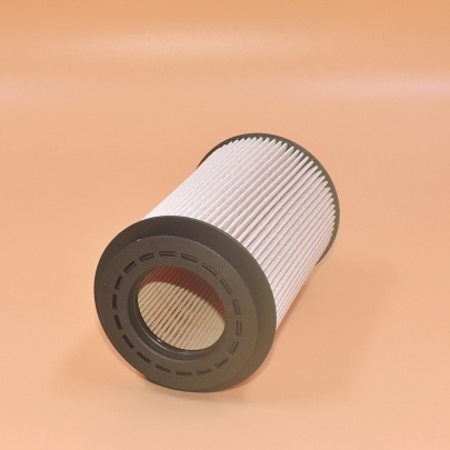 Fuel Filter 02931530 2931530 PF7938 FF5769 PU1058X 20796775,filter ...