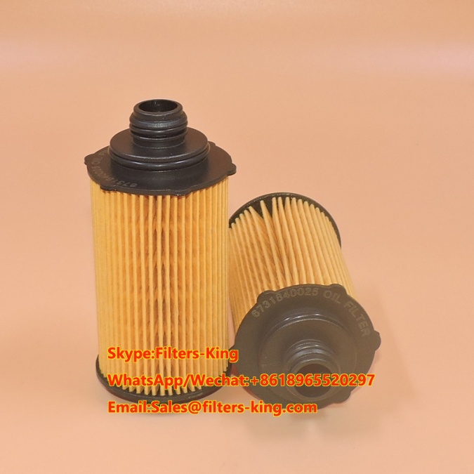 Ssang Yong Oil Filter 6731840025 EO-89030 SO6227 | Engine Oil Filter ...