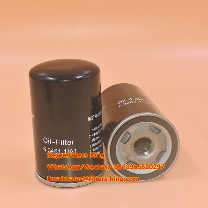 Oil Filter 6.3461.1 6.3461.A1 | Engine Oil Filter Manufacturer And Supplier