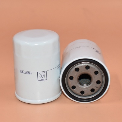 Oil Filter 140517030 B1406 10000-12762 P502070 02/630475 | Engine Oil ...