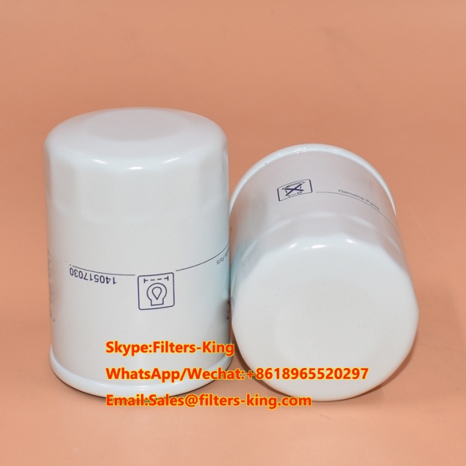 Oil Filter 140517030 B1406 10000-12762 P502070 02/630475 | Engine Oil ...