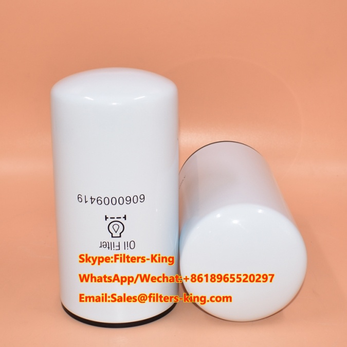 Oil Filter 6060009419 | Engine Oil Filter Manufacturer And Supplier