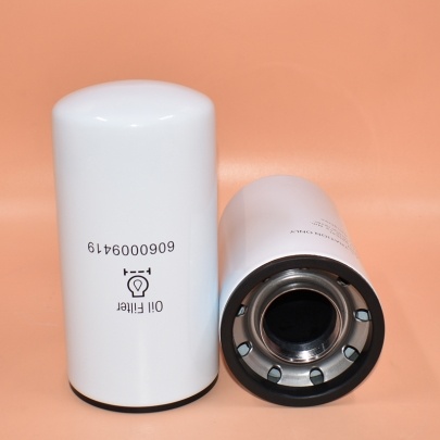 Oil Filter 6060009419 | Engine Oil Filter Manufacturer And Supplier